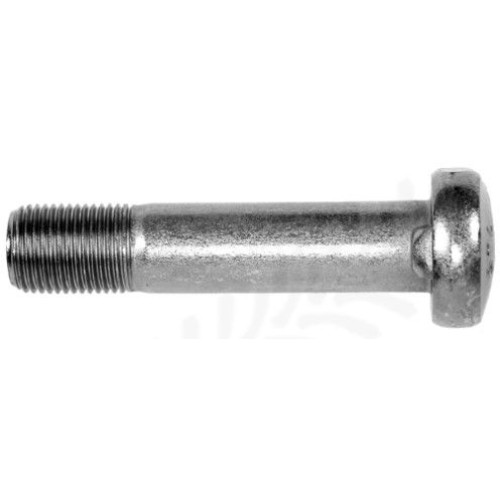 Rim/Disk Bolt for Case - IH